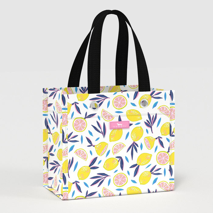 Scout Small Package – Accents Home & Gifts